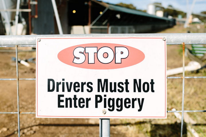 Home | Australian Pork