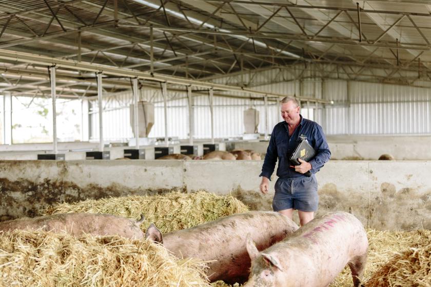 Farm Manager | Australian Pork